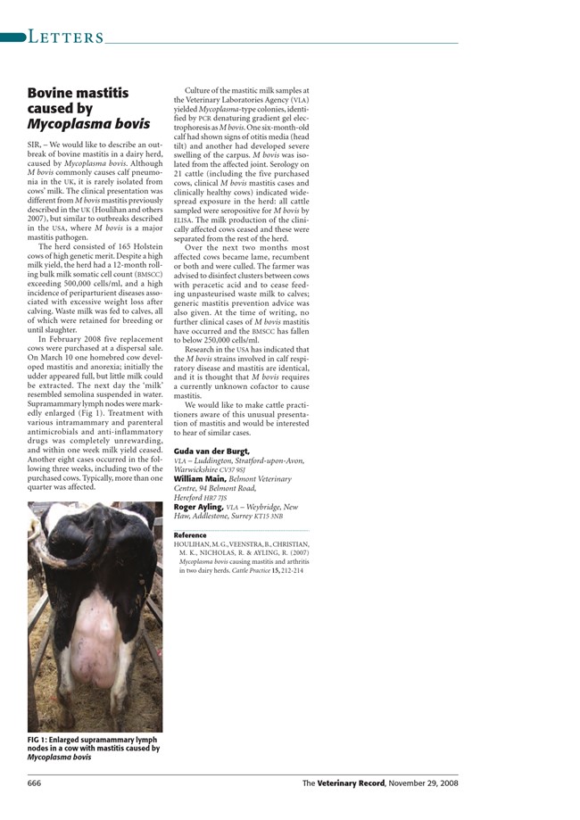 تحميل كتاب Bovine mastitis caused by Mycoplasma bovis - كتب PDF